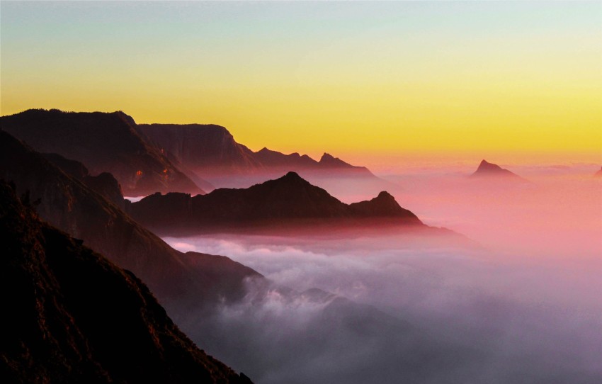 Pothamedu View Point Cycling Experience in Munnar | Alphonso Stories