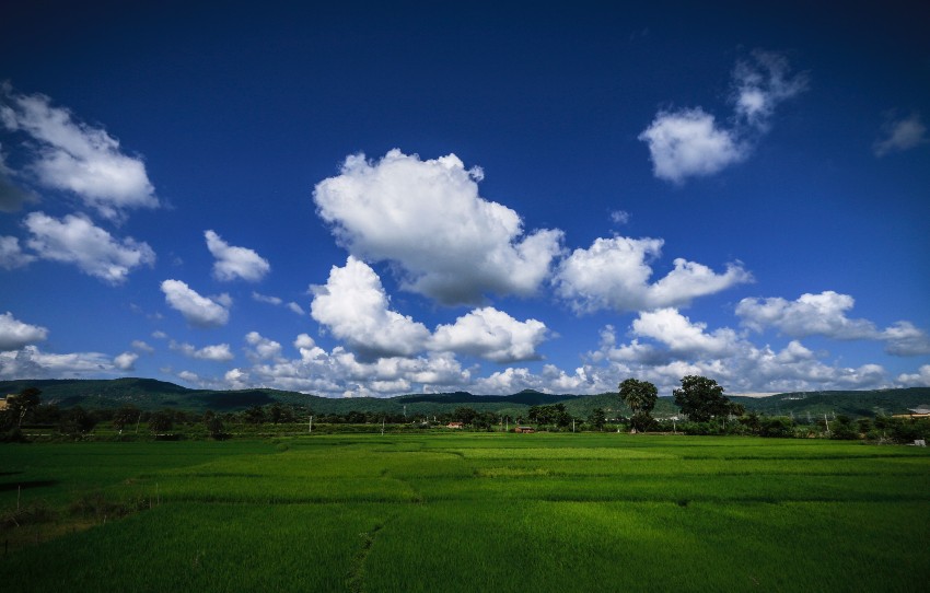 Coorg Nature Trail | E-Biking Adventure in Madikeri by Alphonso Stories