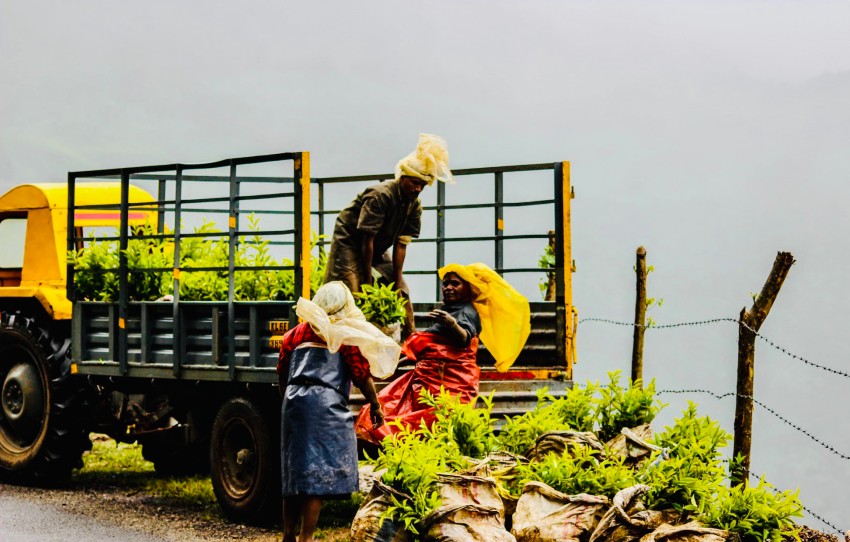 Explore Munnar's History | Munnar History Walk with Alphonso Stories
