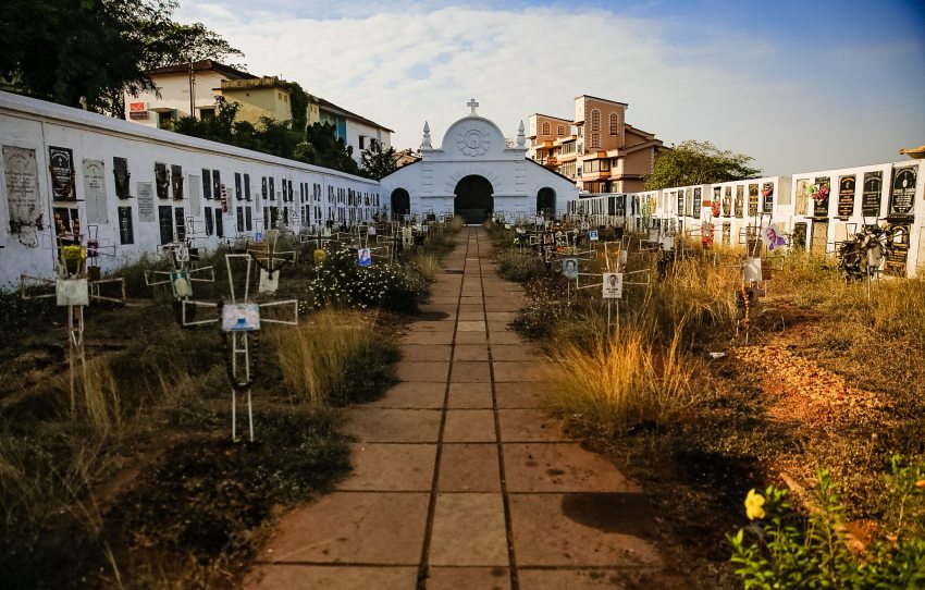 Explore Aldona Village in Goa | Alphonso Stories