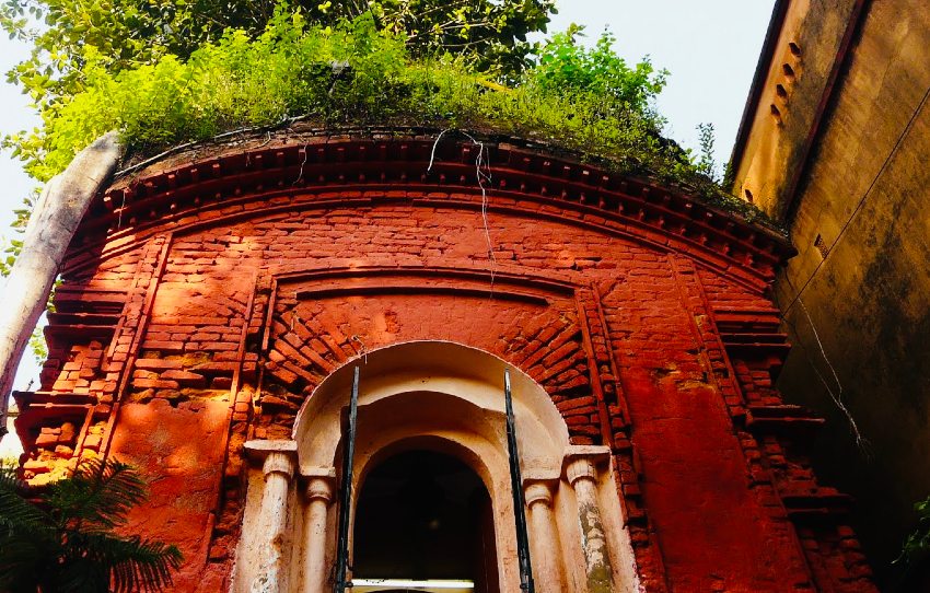 Explore Calcutta's History and Resurgence: Calcutta Walk | Alphonso Stories